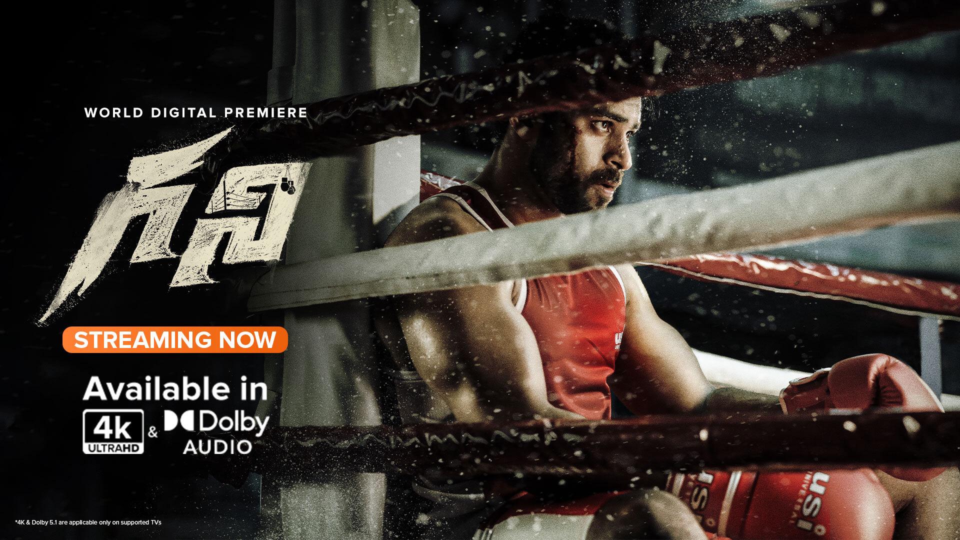 Watch Ghani Full Movie Online in HD Quality | Download Now